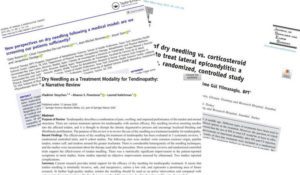 Integrative Dry Needling - Dry Needling Training Courses